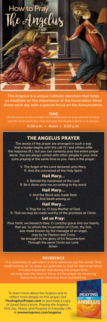 How to Pray the Angelus | The Angelus Prayer
